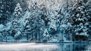 The best way to reach lake Blausee - Myswitzerlandvisit.com